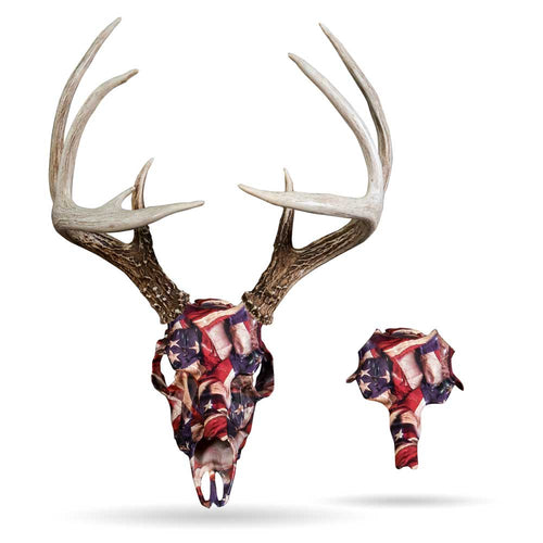 European Skull Mount | Order European Skull Mount Kits Online ...