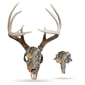 European Skull Mount | Order European Skull Mount Kits Online ...