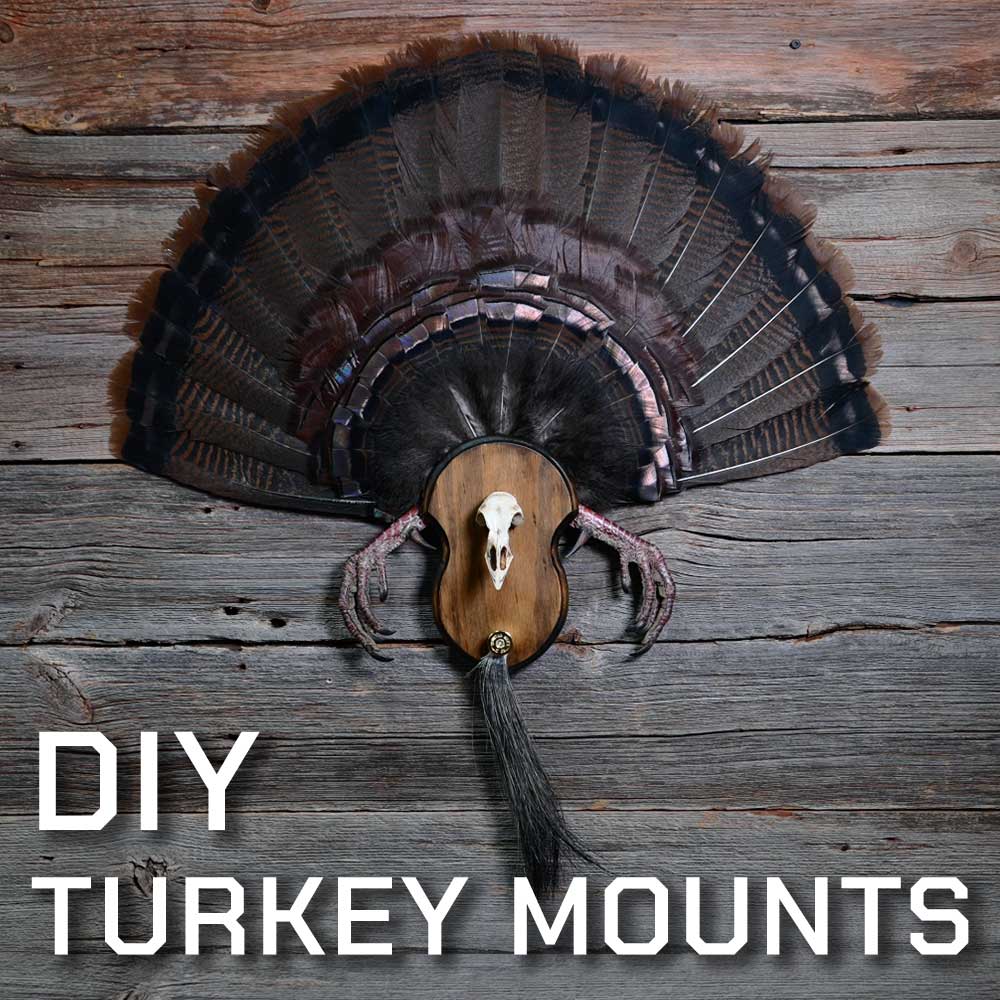 Turkey Mounting Systems – Illusion Outdoors