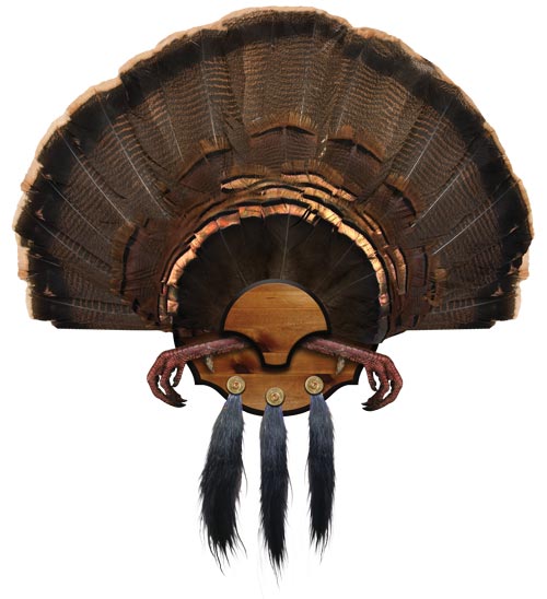 Beard Master – Illusion Outdoor Systems